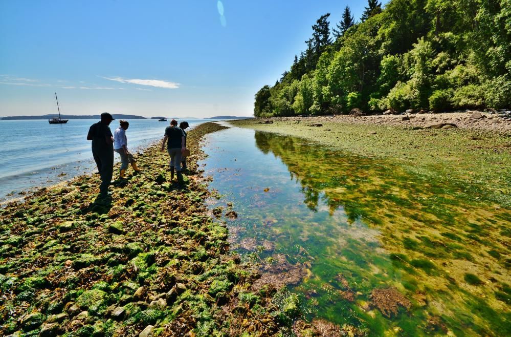 'Bringing beaches back to life': the First Nations…