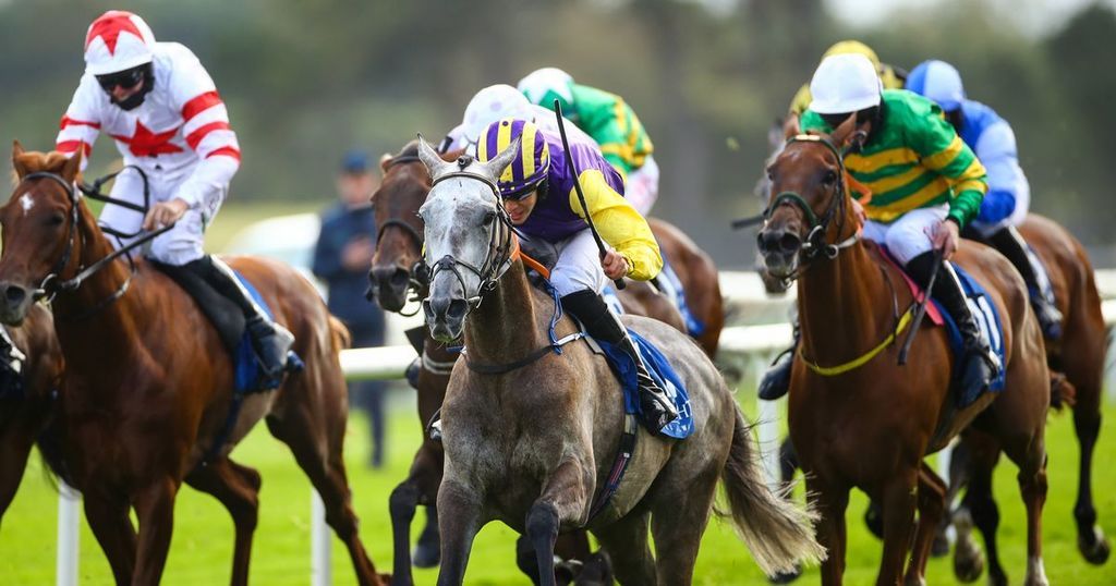 Princess Zoe completes fairytale story for Tony…