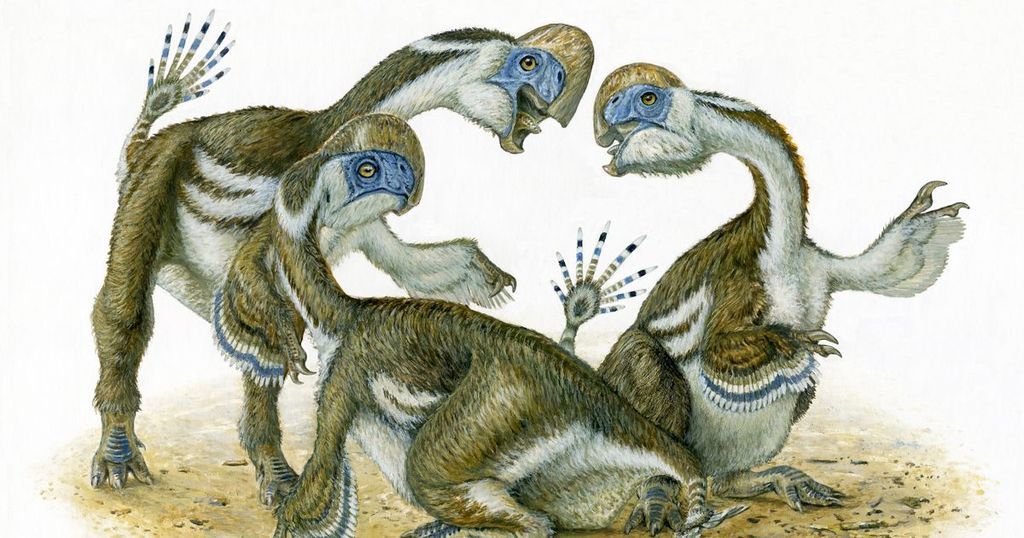 Two-meter prehistoric 'parrot' dinosaur discovered by…