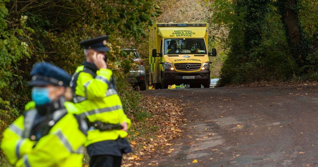Timeline of horror Cork shooting as father and two…