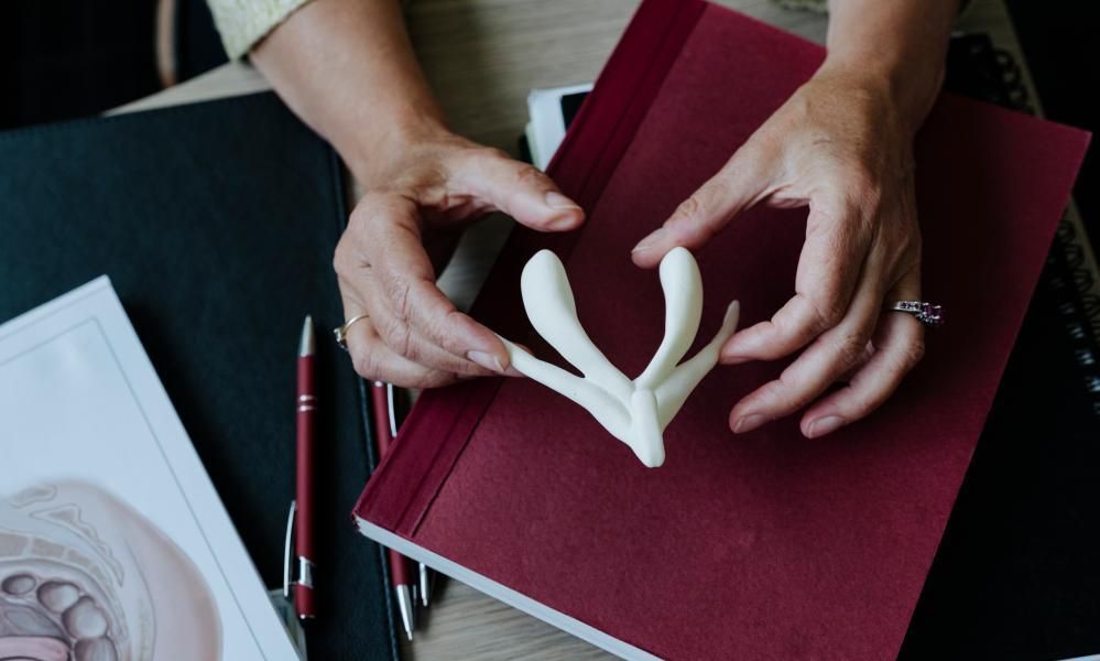 The Sole Function Of The Clitoris Is Female Orgasm Is 5044