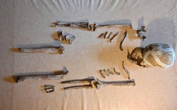 Ancient skeleton offers clues on prehistoric era