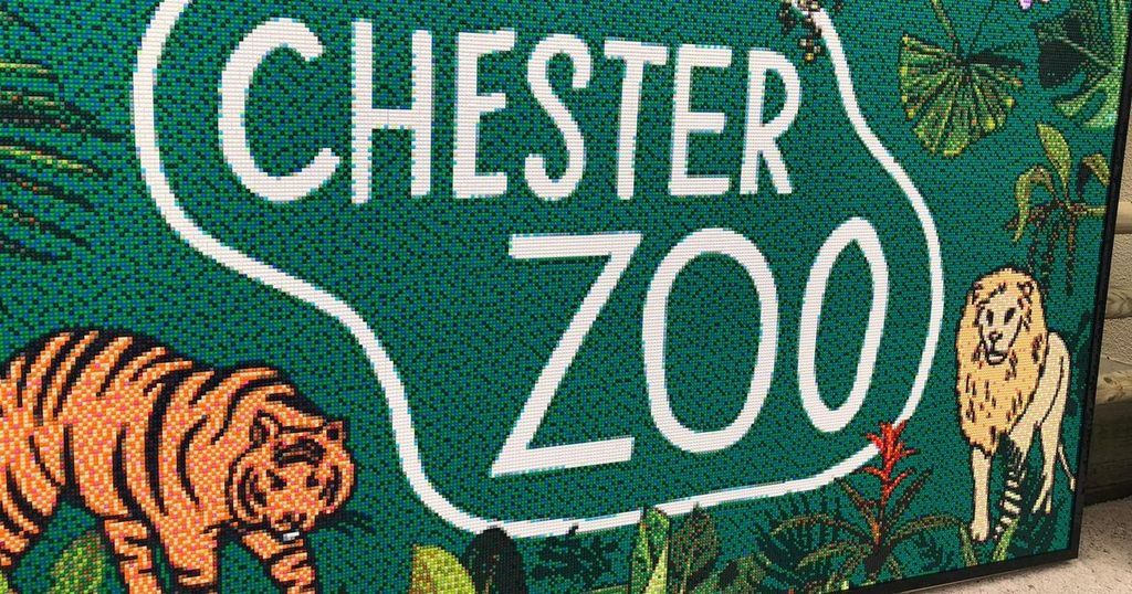 Chester Zoo's live virtual tour is back to introduce a…