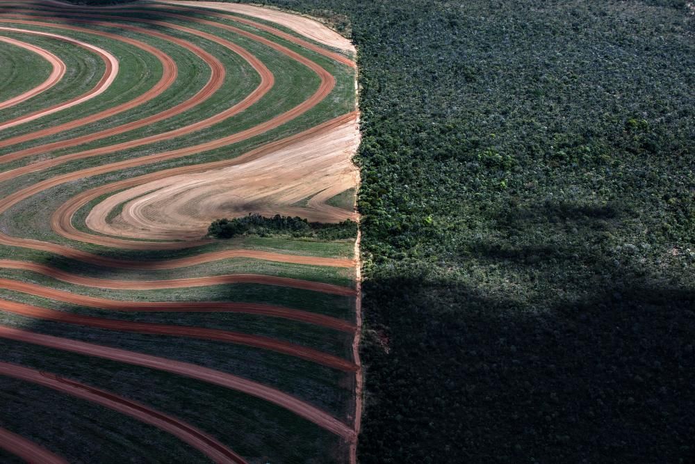 The Cerrado: how Brazil’s vital ‘water tank’ went from…