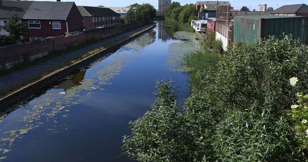 Mystery 'vile' smell in borough that's making people…