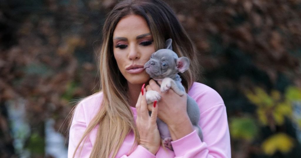 Katie Price unveils cute new puppy Precious months…