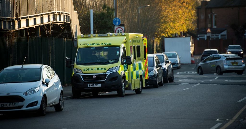 Tragedy as person dies after being hit by train at…