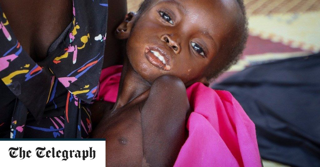 Revealed: The four countries facing famine in 2020