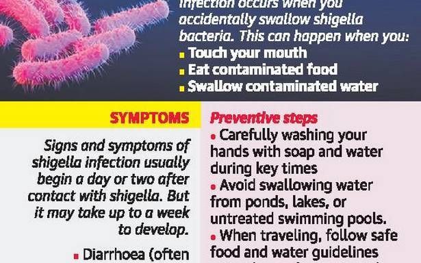Experts trying to trace root of shigella infection