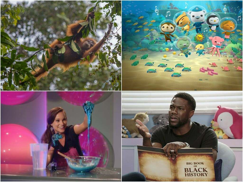 The 10 best educational shows on Netflix if you are…
