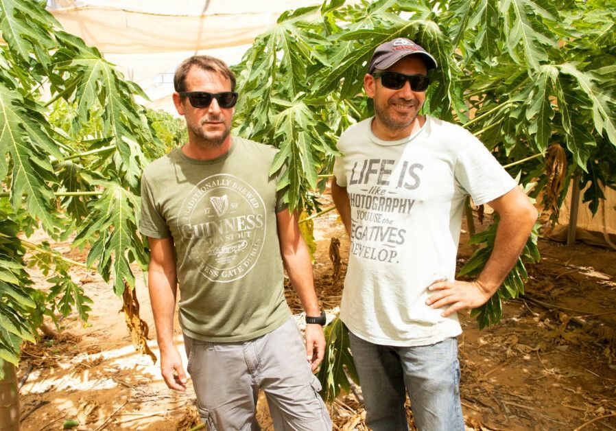 The Moshavim Movement