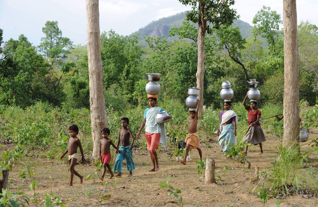 Living in the shadow of rebellion: India’s Gond tribe