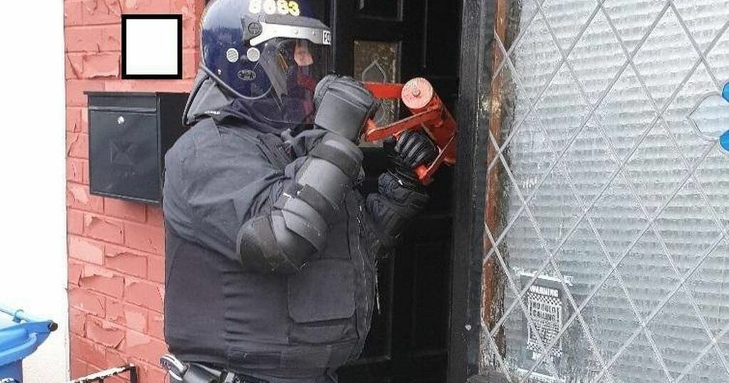 Raid on terraced house unearths massive cannabis farm