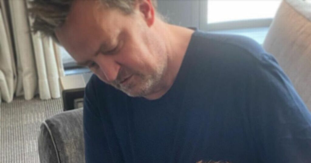 Matthew Perry and fiancée Molly Hurwitz expand their…