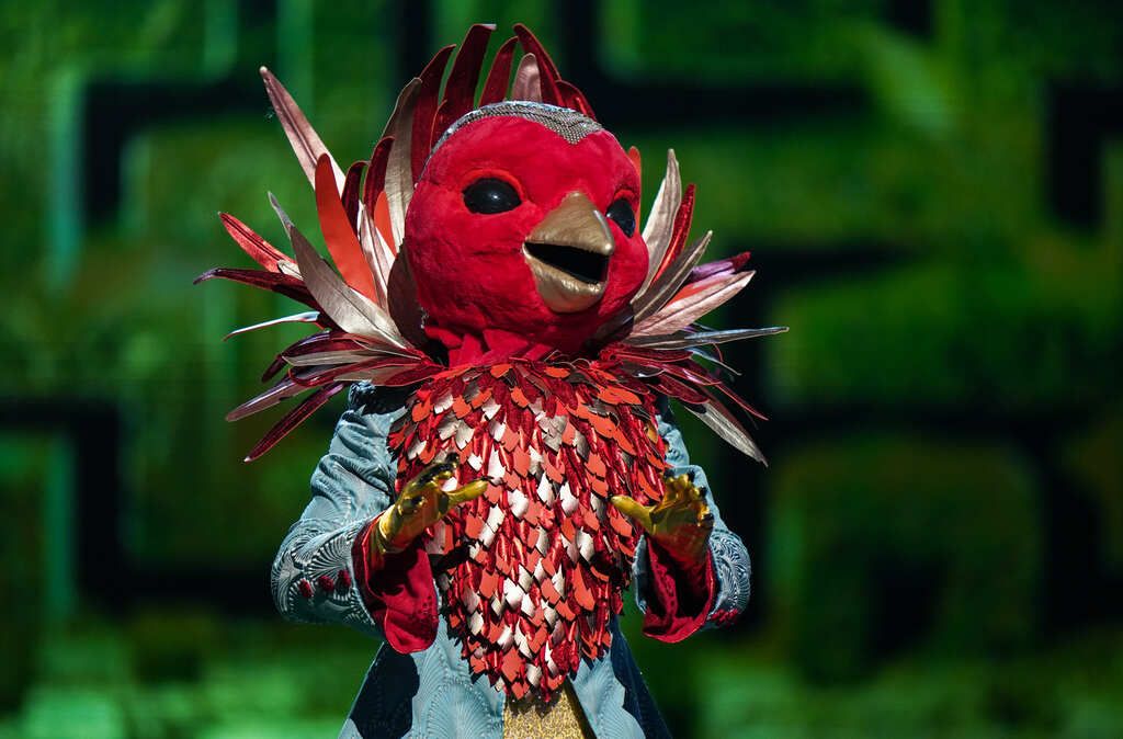The Masked Singer: Who is Robin? The latest clues…