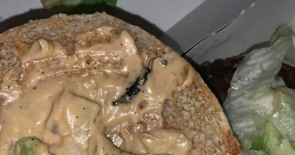 McDonald's customer 'knocked sick after finding insect…