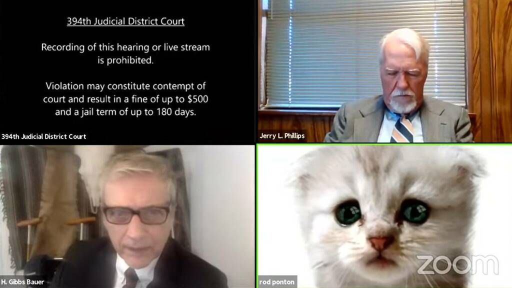 Lawyer appears as cat during Zoom filter fail