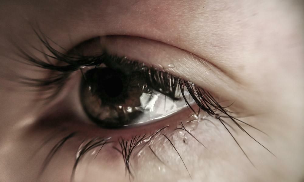 For crying out loud: Dutch scientists grow human tear…