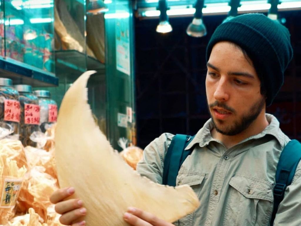 Seaspiracy: Meet Ali Tabrizi, the 27-year-old…