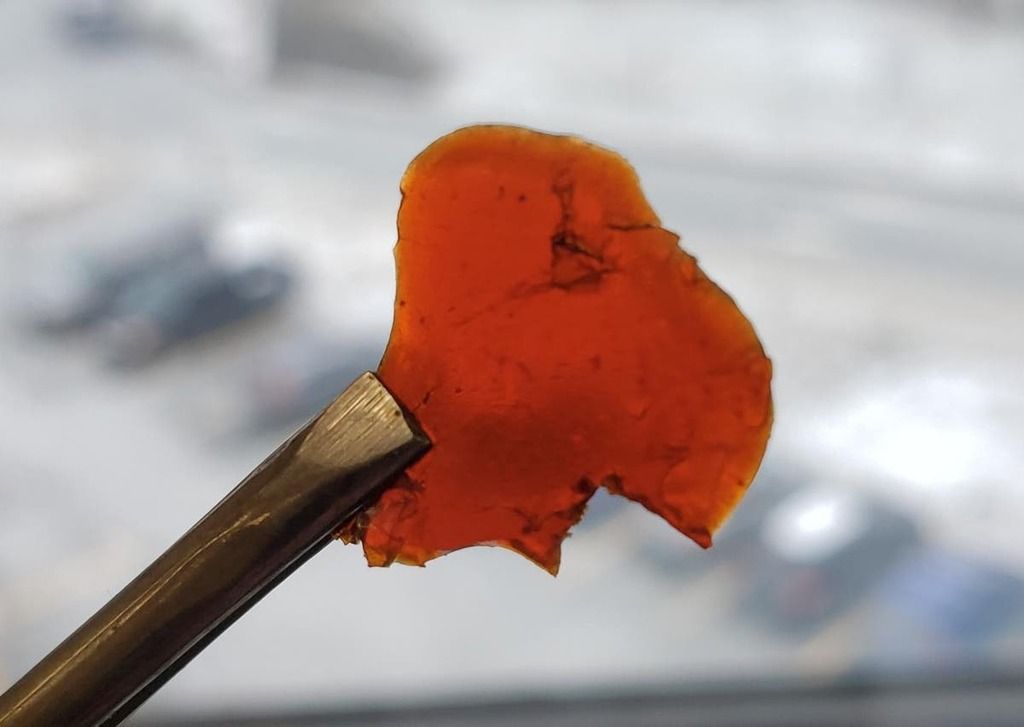 Scientists produce biodegradable plastic made from…