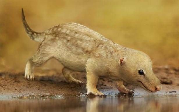 The story of 220-million-year-old rat-like creatures…