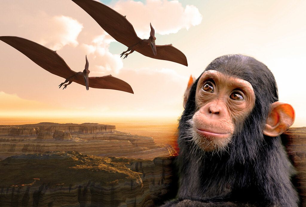 Meet the ancient "monkeydactyl"