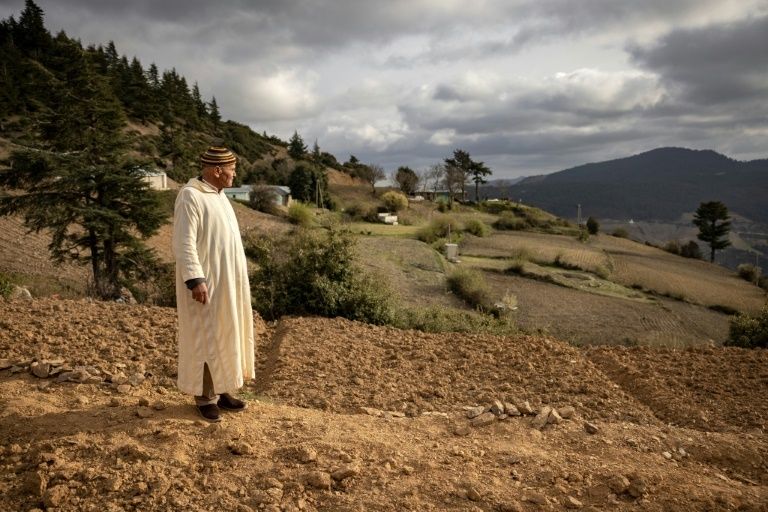 Morocco looks to fear-free hashish farms
