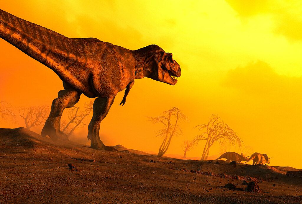 Scientists say T. Rex was a slow walker