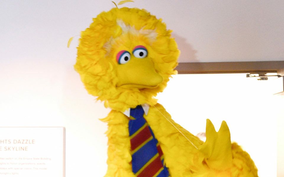 ‘Big Bird Bandits’ arrested by SA police