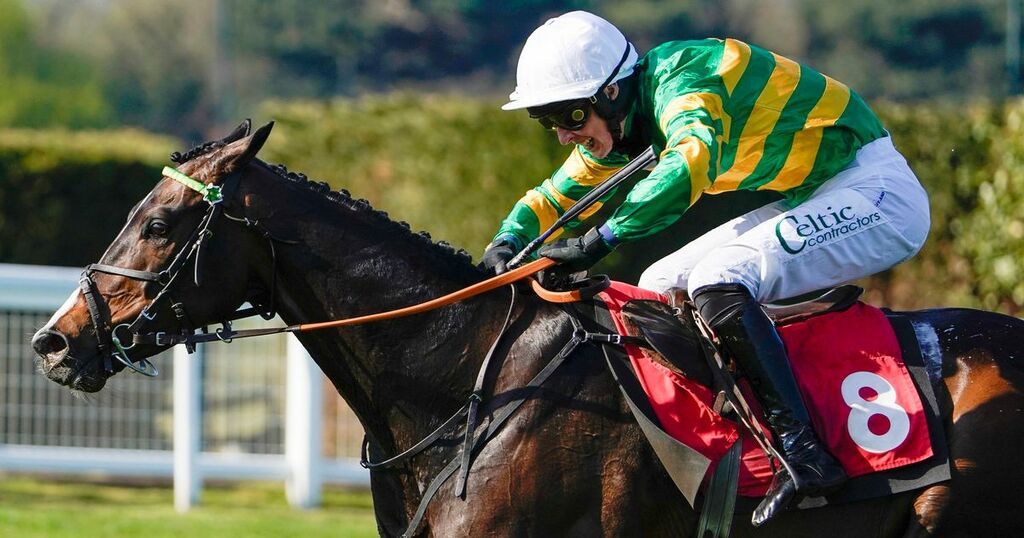 JP McManus-owned horse provides trainer Nick Gifford…