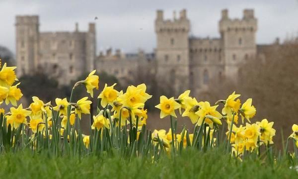 Melting ice rinks and giant sprouts: is warm weather…