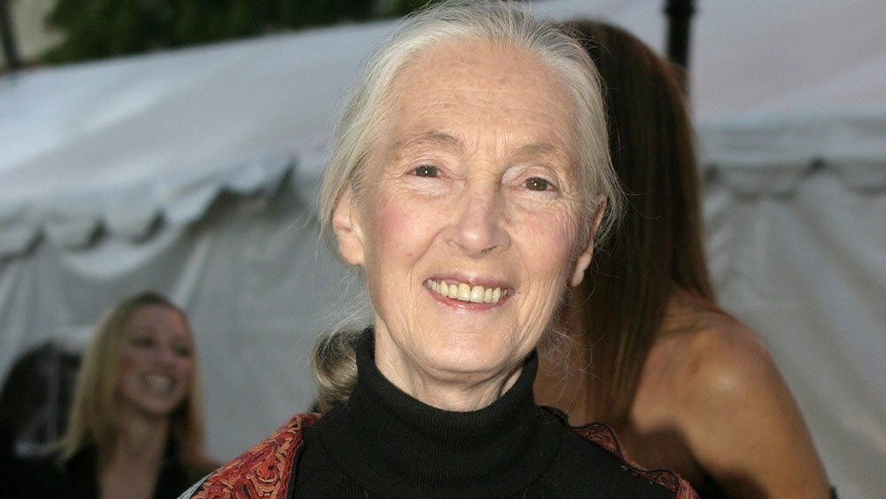 Inspirational Quotes: Jane Goodall, Morgan Freeman,…