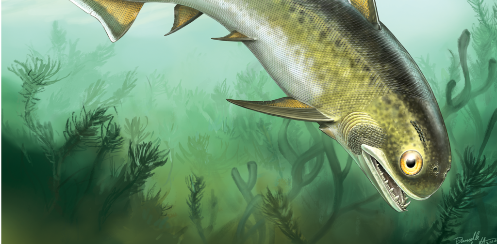 Evolution of a smile: 400 million year old spiny fish…