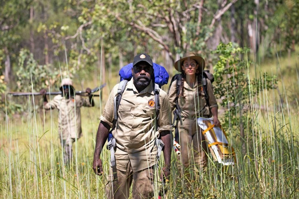 Fire money: how Indigenous land management is…