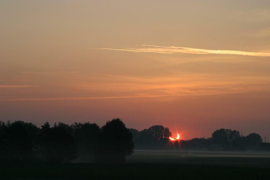 Everything You Need To Know To See The Rare, Risky And…