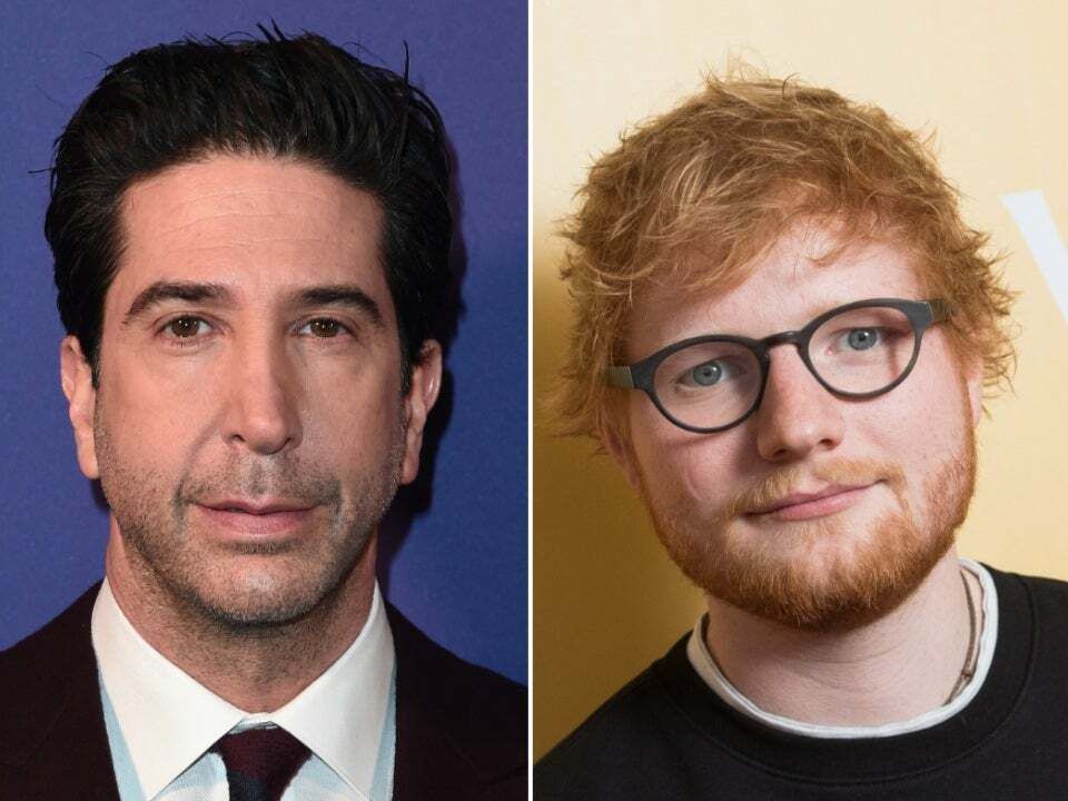 David Schwimmer says Ed Sheeran should stick to…