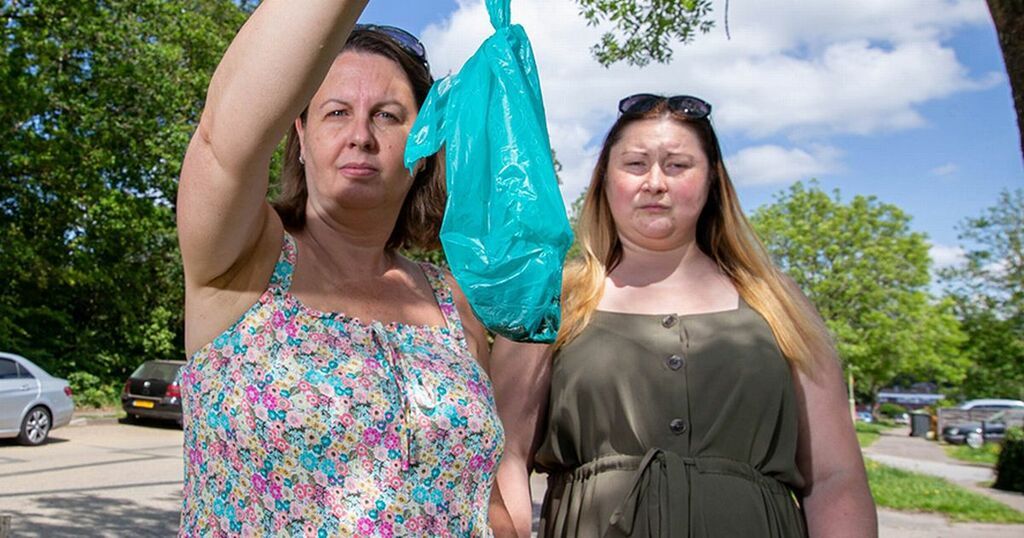 Frozen poo that fell from the sky out of nowhere…