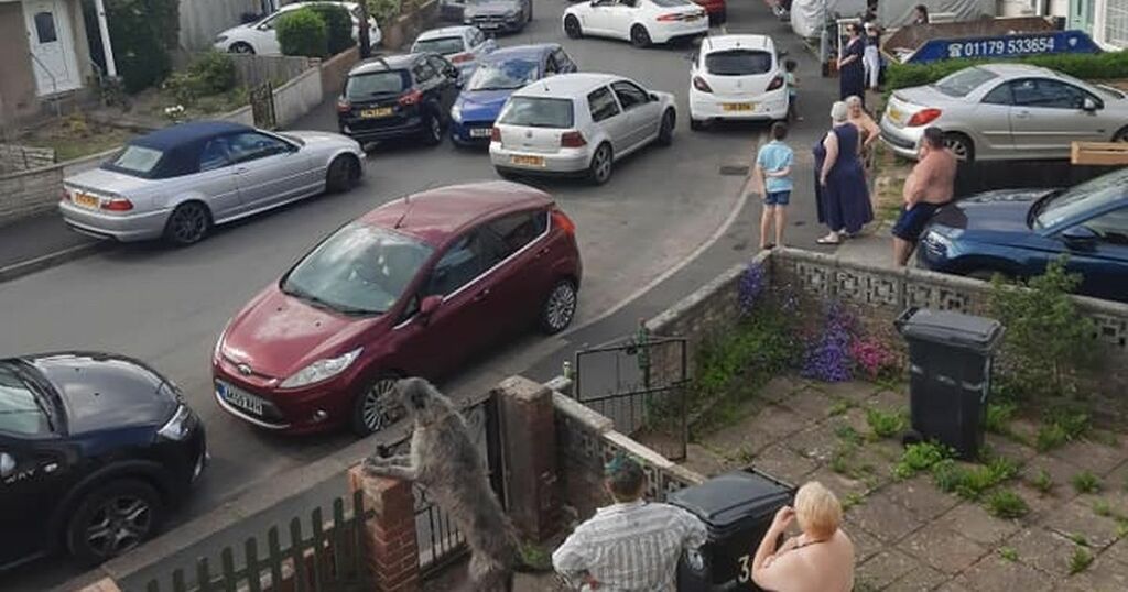 Parking 'nightmare' for locals as visitors descend on…