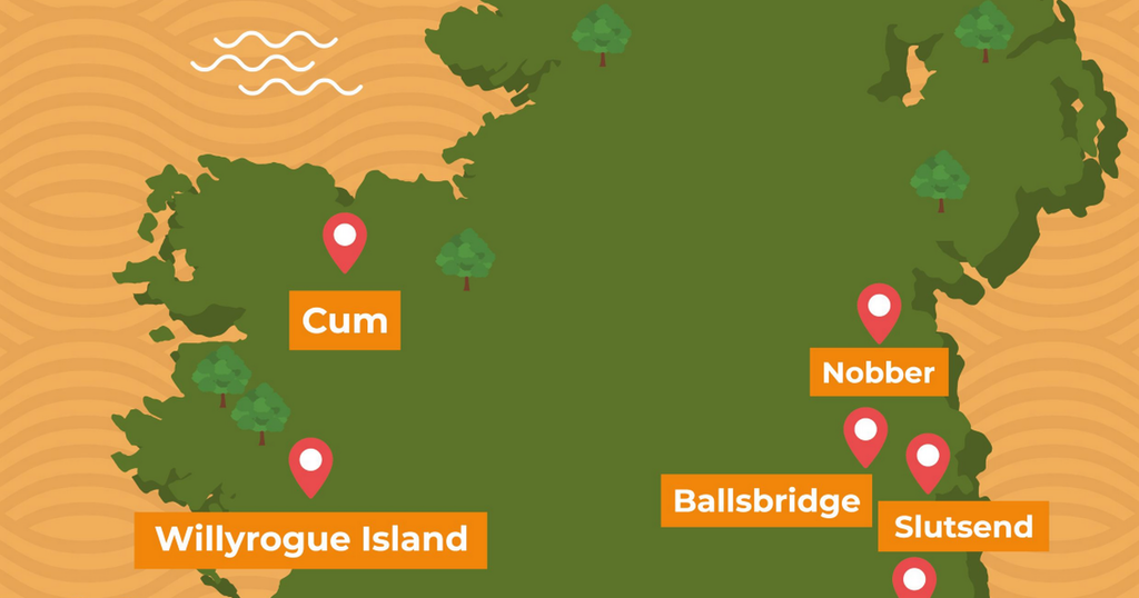 From Bastardstown to Willyrogue and Ballsbridge to…