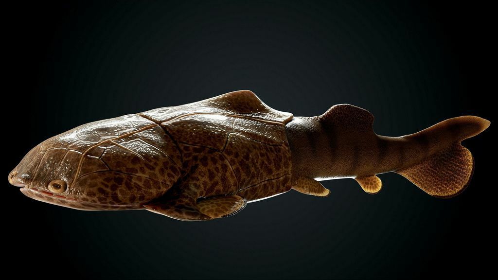 Jaws Dropping: 423 Million-Year-Old Fish Fossil Shows…
