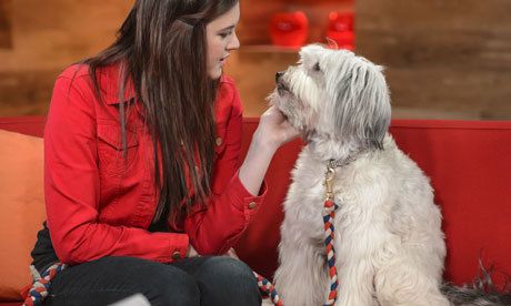 Pudgy Pudsey put on a doggie diet