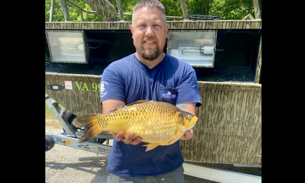 Bow angler makes history with record goldfish catch