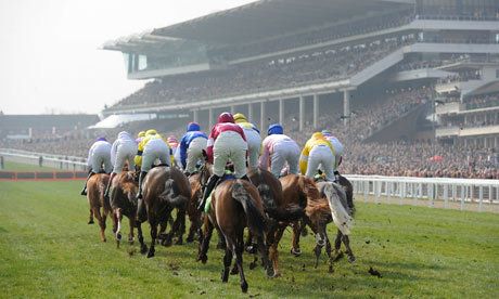 Welcome to the Guardian's new-look racing coverage