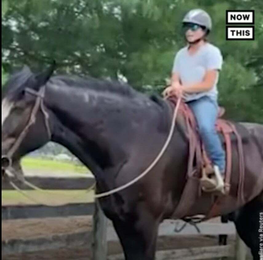 This horse has gone viral simply for being absolutely…