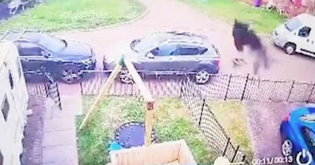 Mum calls priest to bless home after spotting 'black…
