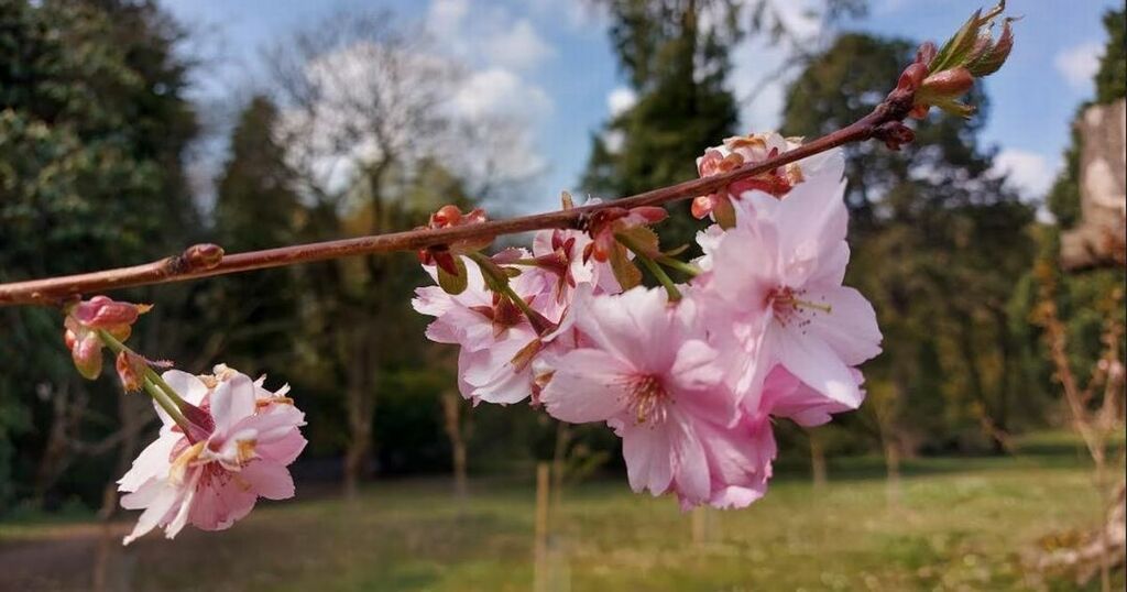 Best parks in Stockport for children - as chosen by you