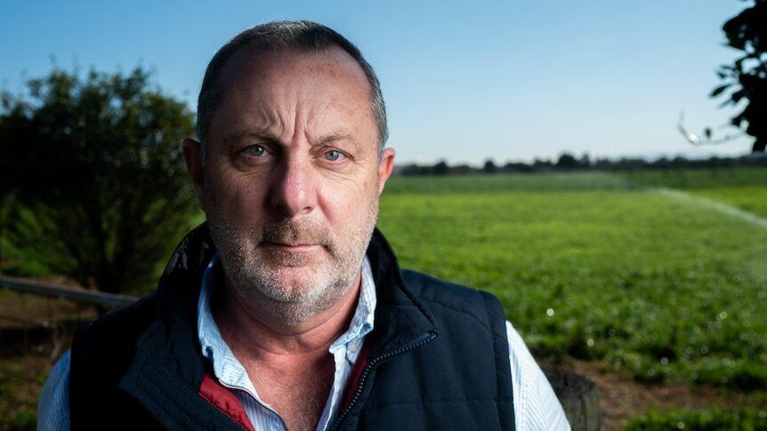 Former NSW MP Michael Johnsen claims Coalition 'jumped…