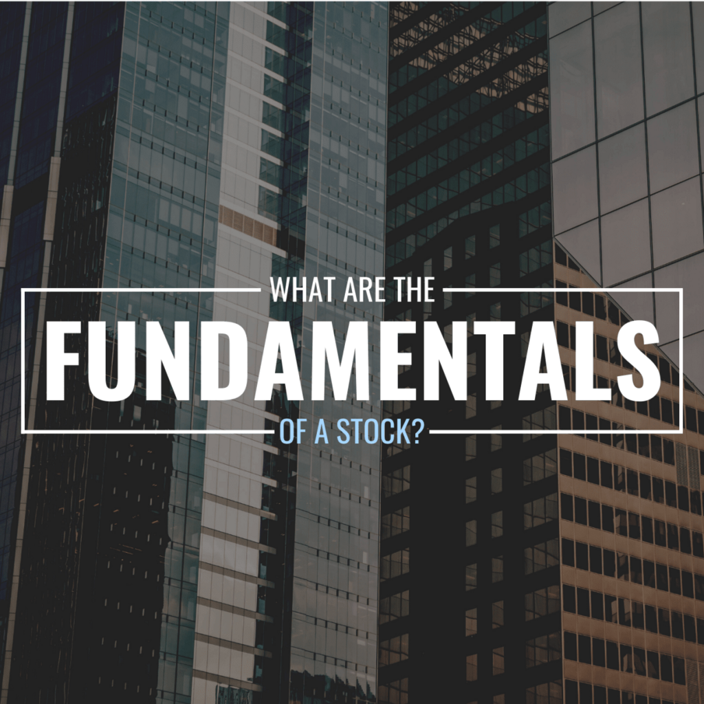 What Are Stock Fundamentals? Definition, Examples, and…
