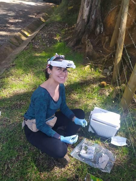 This Colombian Scientist Is Unlocking The Genetic…