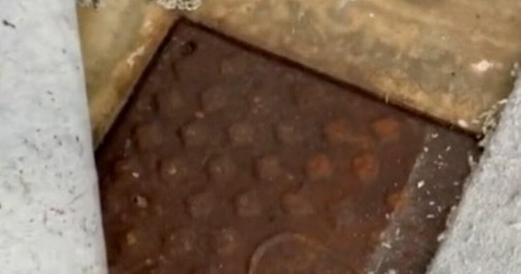 Woman didn't know what caused gross smell in bedroom…